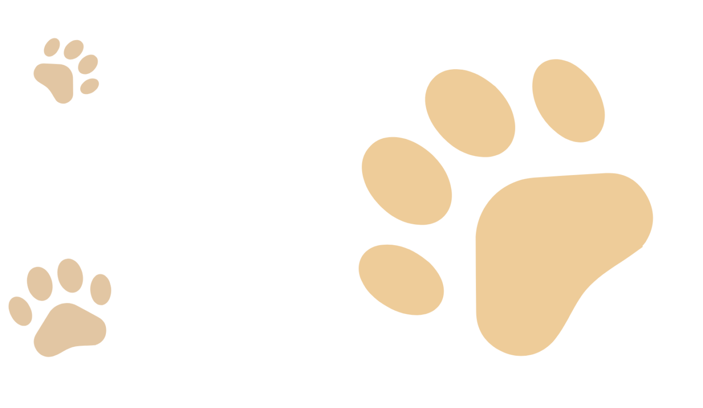 Een teek bij je hond herkennen en verwijderen: zo bescherm jij je hond ...
